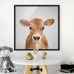 Bilderwelten Bild mit Rahmen Baby Kuh Kira
