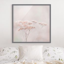 Bilderwelten Bild mit Rahmen Zartrosane Wildblumen