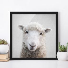 Bilderwelten Bild mit Rahmen Schaf Steffi