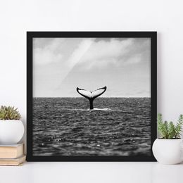 Bilderwelten Bild mit Rahmen Fluke im Ozean