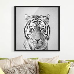 Bilderwelten Bild mit Rahmen Tiger Tiago Schwarz Wei&szlig;
