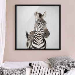 Bilderwelten Bild mit Rahmen Zebra Zilla