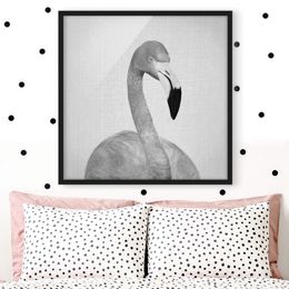Bilderwelten Bild mit Rahmen Flamingo Fabian Schwarz Wei&szlig;