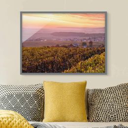 Bilderwelten Bild mit Rahmen Weinplantage bei Sonnenuntergang