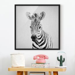 Bilderwelten Bild mit Rahmen Baby Zebra Zoey Schwarz Wei&szlig;