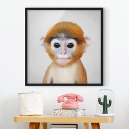 Bilderwelten Bild mit Rahmen Baby Affe Anton