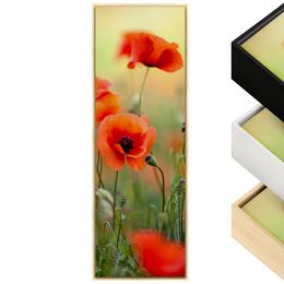 Bilderwelten Leinwandbild auf Canvas Natural Roter Sommermohn