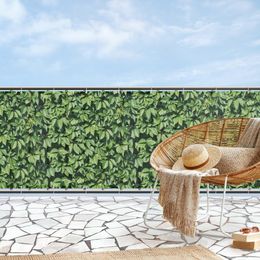 Bilderwelten Balkon Sichtschutz Hecke