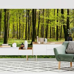 Bilderwelten Fototapete Wald Motiv Wandtapete gr&uuml;n - Waldwiese - B&auml;ume Wohnzimmer Schlafzimmer
