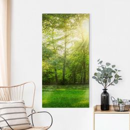 Bilderwelten Leinwandbild Spaziergang im Wald