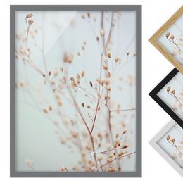 Bilderwelten Bild mit Rahmen Pastellknospen am Wildblumenzweig