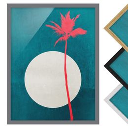 Bilderwelten Bild mit Rahmen Palme Karibik