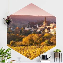 Bilderwelten Hexagon Fototapete Weinberge in Frankreich