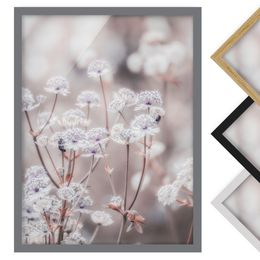 Bilderwelten Bild mit Rahmen Federleichte Wildblumen