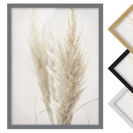 Bilderwelten Bild mit Rahmen Flauschiges Pampasgras