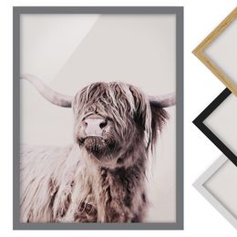Bilderwelten Bild mit Rahmen Hochlandrind Frida in Beige