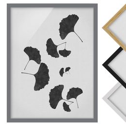 Bilderwelten Bild mit Rahmen Ginkgo Komposition in Schwarz-Wei&szlig;