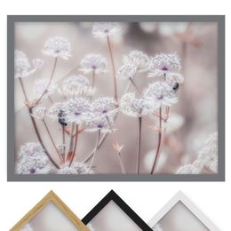 Bilderwelten Bild mit Rahmen Federleichte Wildblumen