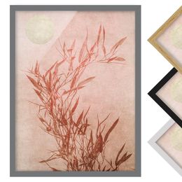 Bilderwelten Bild mit Rahmen Goldene Sonne mit Rosa Bambus