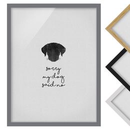 Bilderwelten Bild mit Rahmen Haustier Zitat Sorry My Dog Said No