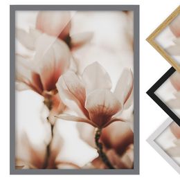 Bilderwelten Bild mit Rahmen Zarte Magnolienbl&uuml;ten im Lichtspiel