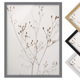Bilderwelten Bild mit Rahmen Zarte Knospen am Wildblumenzweig