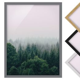 Bilderwelten Bild mit Rahmen Wald im Nebel D&auml;mmerung