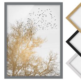 Bilderwelten Bild mit Rahmen Vogelschwarm vor goldenem Baum