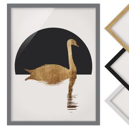 Bilderwelten Bild mit Rahmen Schwan in Gold