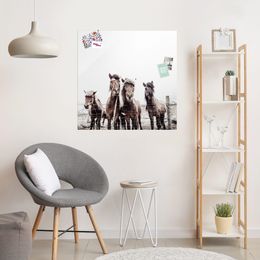 Bilderwelten Glasbild Tiere Motiv braun Glas Wandbild - Island Pferde - Pferde Wohnzimmer Schlafzimmer