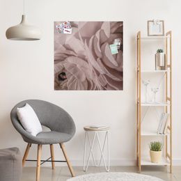 Bilderwelten Glasbild Motiv rosa Glas Wandbild - Err&ouml;tete Bl&uuml;te - Rose Wohnzimmer Schlafzimmer