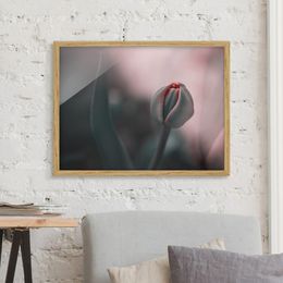 Bilderwelten Bild mit Rahmen Blumen rosa modern inkl. Rahmung - Sinnliche Tulpe - Deko Wohnzimmer Schlafzimmer