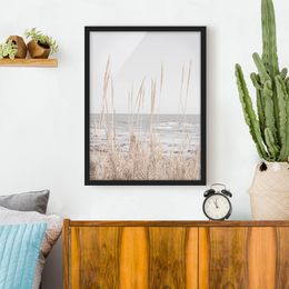 Bilderwelten Bild mit Rahmen Gr&auml;ser am Meer