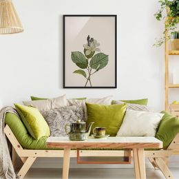 Bilderwelten Bild mit Rahmen Film Ab im Garten