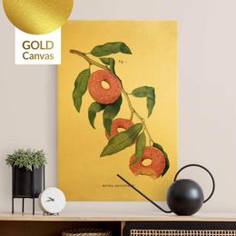 Bilderwelten Leinwandbild Vintage Pflanze - Donut