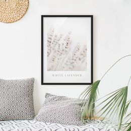 Bilderwelten Bild mit Rahmen White Lavender
