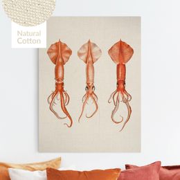 Bilderwelten Leinwandbild Vintage Illustration Rote Tintenfische