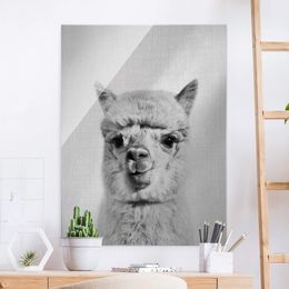 Bilderwelten Glasbild Tiere Motiv schwarz weiss Glas Wandbild - Alpaka Alfred Schwarz Wei&szlig; - Deko Kinderzimmer Baby M&auml;dchen Jungen