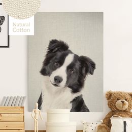 Bilderwelten Leinwandbild Bordercollie Benni