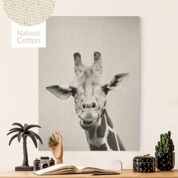 Bilderwelten Leinwandbild Giraffe Gundel Schwarz Wei&szlig;