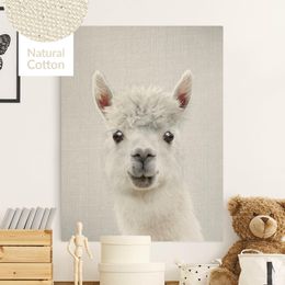 Bilderwelten Leinwandbild Lama Lars