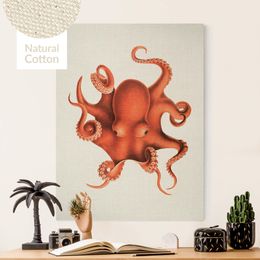Bilderwelten Leinwandbild Vintage Illustration Roter Oktopus