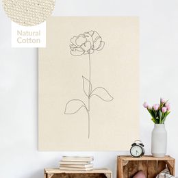 Bilderwelten Leinwandbild Line Art Blumen - Pfingstrose