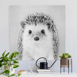 Bilderwelten Leinwandbild Tiere Motiv Kunstdruck schwarz weiss - Igel Ingolf Schwarz Wei&szlig; - Wandbild XXL Kinderzimmer Baby M&auml;dchen Jungen
