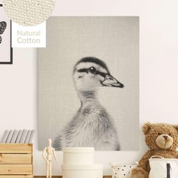 Bilderwelten Leinwandbild Baby Ente Eddie Schwarz Wei&szlig;