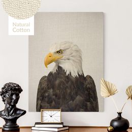 Bilderwelten Leinwandbild Seeadler Sokrates