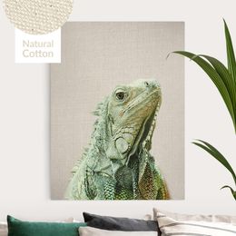 Bilderwelten Leinwandbild Leguan Louis