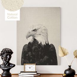 Bilderwelten Leinwandbild Seeadler Sokrates Schwarz Wei&szlig;