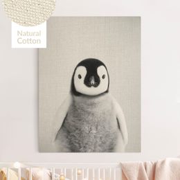 Bilderwelten Leinwandbild Baby Pinguin Pepe Schwarz Wei&szlig;