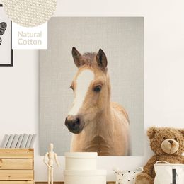 Bilderwelten Leinwandbild Baby Pferd Philipp
